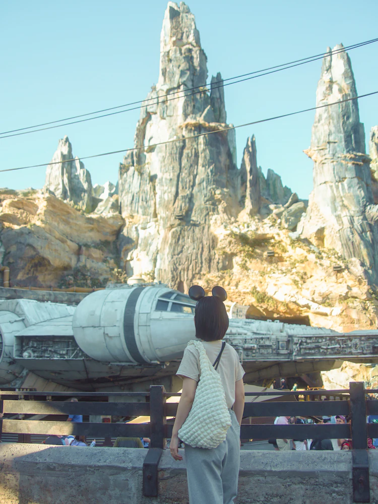 初めてでも安心！ フロリダ ウォルト・ディズニー・ワールド・リゾートの基本情報&直営ホテルをご紹介｜tabimuse